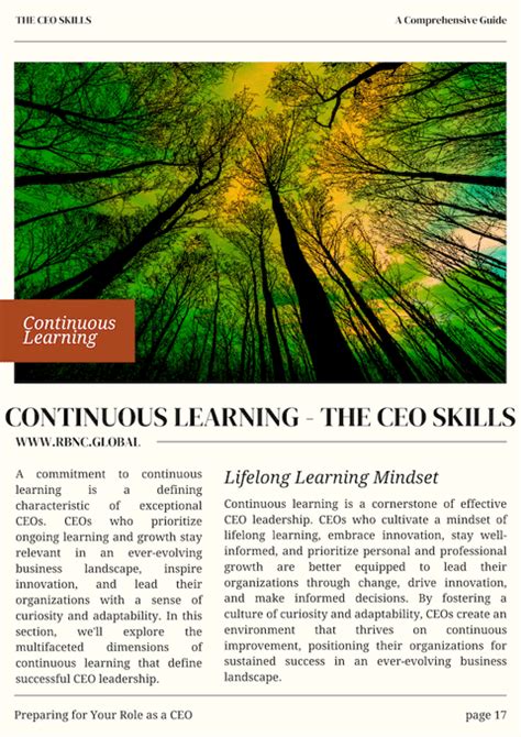 Understanding The Ceos Relationship With Stakeholders Rbnc Build And Execute Strategy