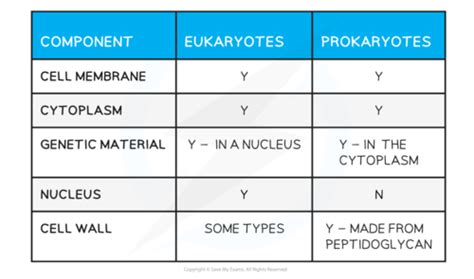 Cell Structure Flashcards Quizlet