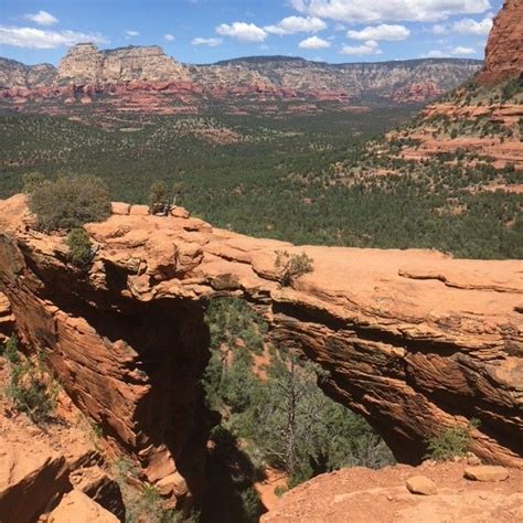 Lifelessons Choosewisely Internships Diane Letson