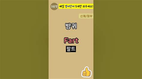 신체피부 필수영어단어 한방에 정리 Youtube