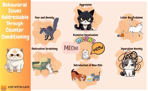 cat behavior modification counter conditioning desensitization and