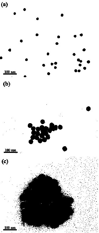 Preparation Method Of Gold Nanometer Particles Eureka Patsnap
