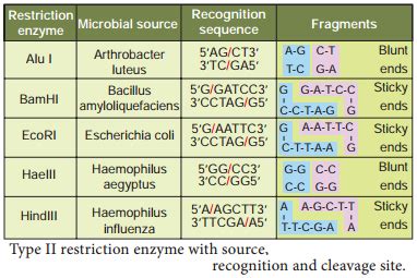 Tools For Genetic Engineering