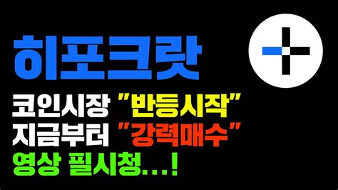 히포크랏 긴급 본격 알트불장 시작됐습니다 영상 꼭 보시고 매매하세요 코인시황 Youtube