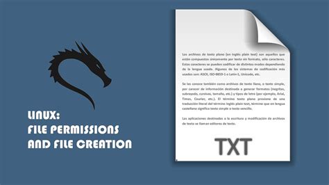 Linux Files Create Edit File Permissions Youtube