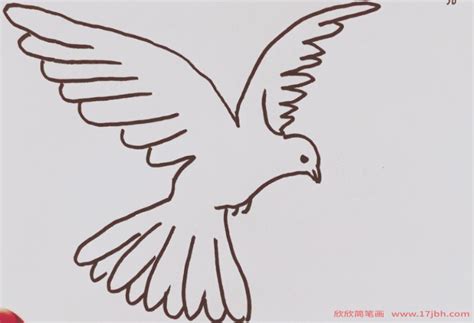 简笔画和平鸽子 和平鸽子简笔画 第10页 大山谷图库