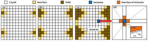 Dendrite Growth And Ca Mesh Refinement A C Dendrite Growth In Ca