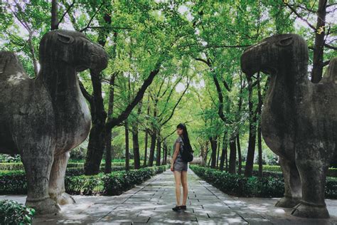 【南京旅游】南京旅游攻略，南京旅游景点大全 去哪儿网