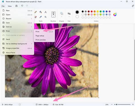 무손실 방식으로 인쇄하기 위해 그림을 확대하는 방법