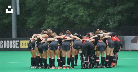 포옹하는 사람들의 그룹 사진 Unsplash의 무료 필드 하키와 라크로스 콤플렉스 이미지