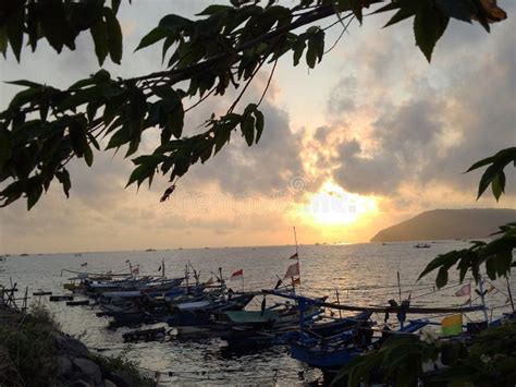 Golden Sunrise Appears Through The Gaps In The Trees Stock Image Image Of Trees Gaps 350209595