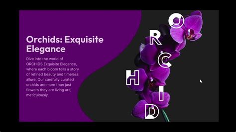 Ashika Jain On Linkedin Webdesign Uiux Figma Prototyping Interactions Creativeprocess