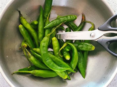 간장 고추장아찌 만드는 법 청양고추 간장절임