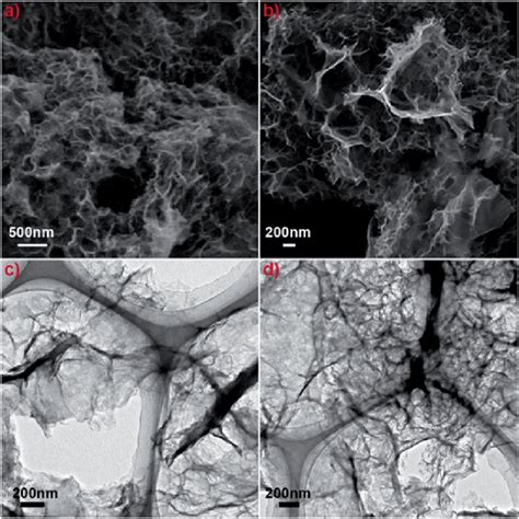 A And B Sem Images Of Ngh And C And D Tem Images Of Ngh Download Scientific Diagram