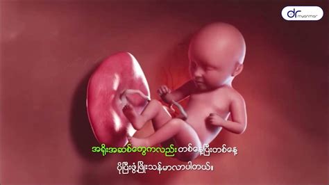 ကိုယ်ဝန်ဆောင်မေမေတို့ သိထားသင့်သော ကိုယ်ဝန်တတိယ ၃ လ အကြောင်း Youtube