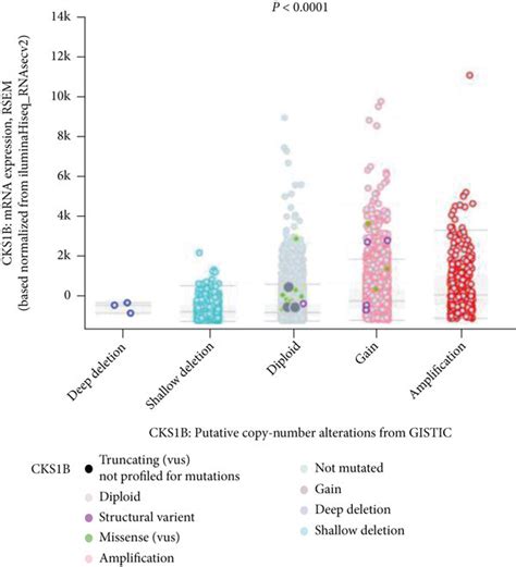 Mutation Feature And Prognosis Significance Of Cks1b In Tumors A The Download Scientific