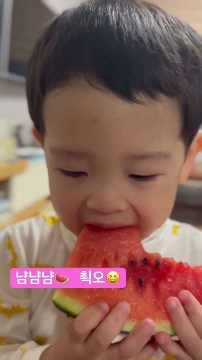 여름엔 역시 수박🍉 수박서리😋 Youtube
