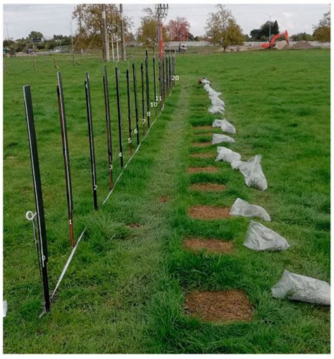 Remote Sensing Special Issue Advances Of Remote Sensing In Pasture Management