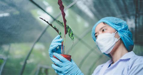 생물학 과학 실험실 유전 기술 과학 생태 연구 식물 성장 샘플 실험 검사 테스트에서 일하는 생명 공학 연구 과학자 사진 Unsplash의 산업 이미지