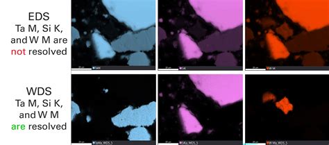 Neptune Eds Wds System Edax