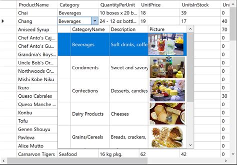 The Best Net Lookup Tool For Your Datagrid Or Form Application Componentone