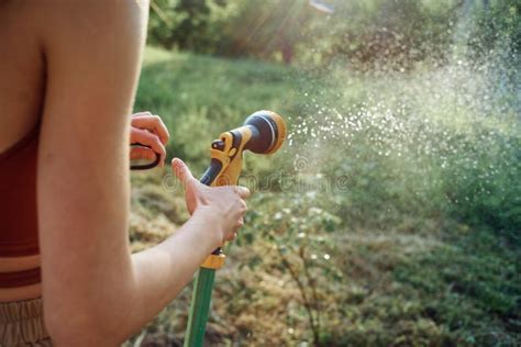 Woman Watering Tree In Garden Countryside Summer Agriculture Stock Photo Image Of Garden