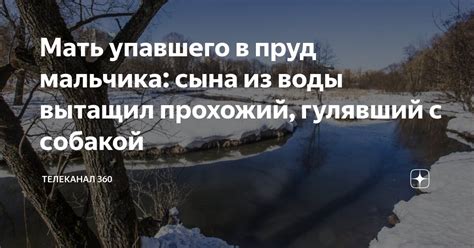 Мать упавшего в пруд мальчика сына из воды вытащил прохожий гулявший с собакой Телеканал 360