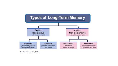 Memory Its Components Its Types Seven Sins Of Memory Strategies To