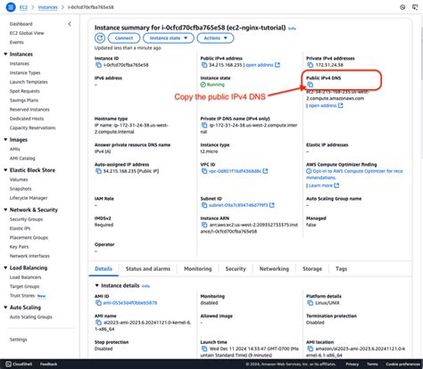 Aws Creating A Linux Ec2 Instance And Installing Nginx Dev Community