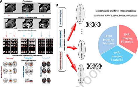 Figure 1 From Searching Reproducible Brain Features Using Neuromark Templates For Different Age