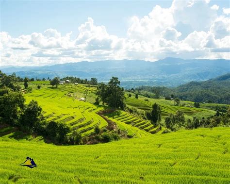 Explore With Us The Ha Giang Loop Map Jasmine Guide