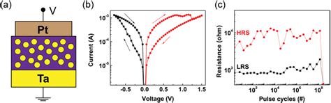 A Schematic Representation Of The Structure Of Traditional Disk‐shaped Download Scientific