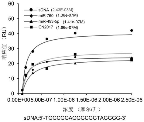 A Kind Of Oligonucleotide Sequence Targeting P53 Protein And Its