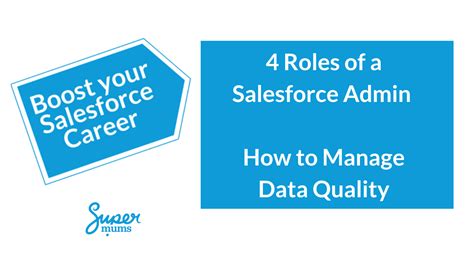 4 Roles Of A Salesforce Admin How To Manage Data Quality