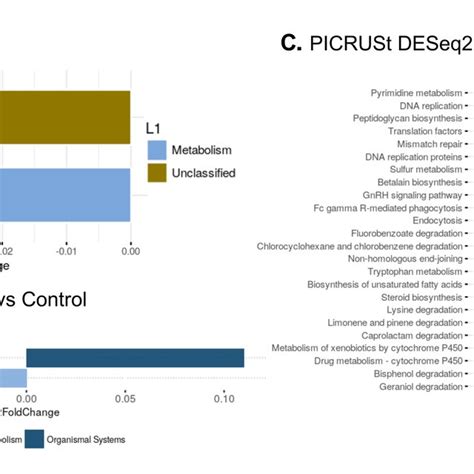 Predicted Functional Pathways Differentially Represented In Gca Ta Download Scientific Diagram