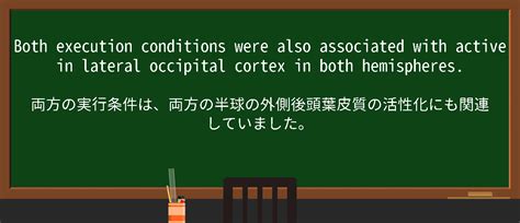 【英単語】occipital Cortexを徹底解説！意味、使い方、例文、読み方 おもしろい英文法
