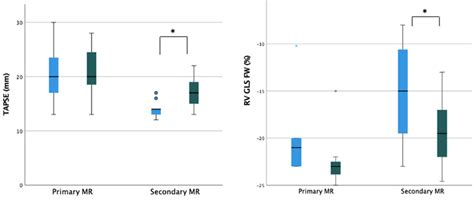 Ventricular And Atrial Remodeling After Percutaneous Mitral Valve Download Scientific Diagram