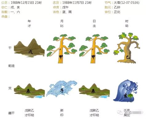 甲木事业发展方向 属甲木的行业 甲木适合去哪个方向 大山谷图库