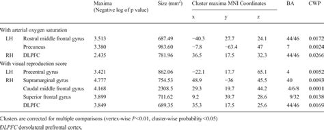 Anatomical Locations Of Cortical Thickness Correlation Measures In
