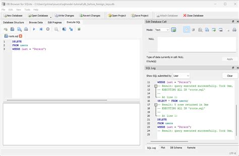Delete Data Delete Advancing Indigenous Language Technologies