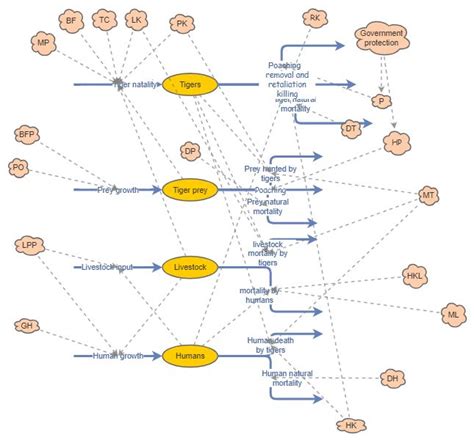 Final Version Insight Maker