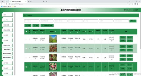 Java毕设项目案例实战ii基于javaspring Bootmysql的果蔬作物疾病防治系统的设计与实现（开发文档数据库源码） Csdn博客