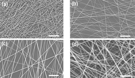 Figure 2 From Electrospun Polyl Lactic Acidgelatin Hybrid Polymer As A Barrier To Periodontal