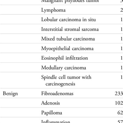 Illustration Of The Framework For Breast Cancer Classification Using 3d