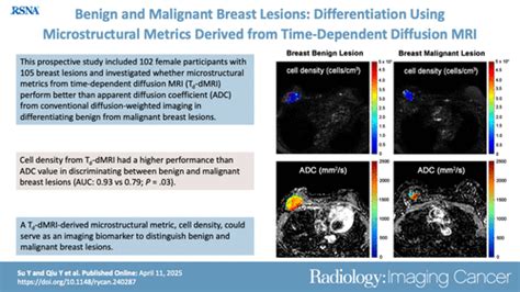 Benign And Malignant Breast Lesions Differentiation Using Microstructural Metrics Derived From