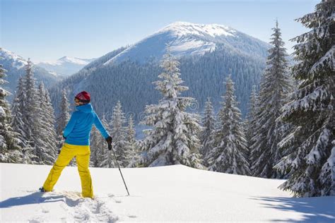 Радостный авантюрист стойки женщины среди огромных сосен Стоковое Фото изображение