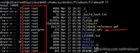 Exiting Error Loading Config File Open Filebeatyml Permission
