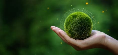 Fugitive Emissions Swagelok