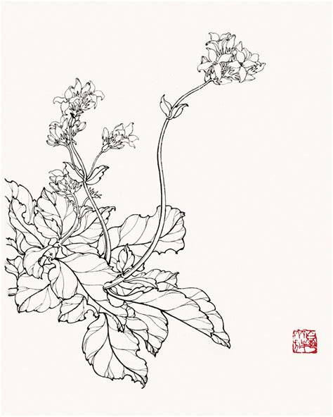 海棠树简笔画 海棠花铅笔画 海棠树绘画 文秘苑图库