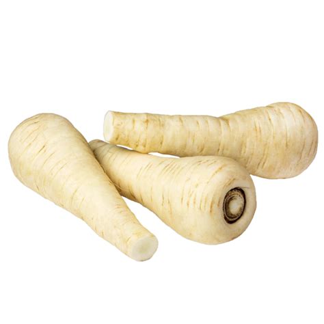 Parsnip Gladiator F1 Parsnip Gladiator F1